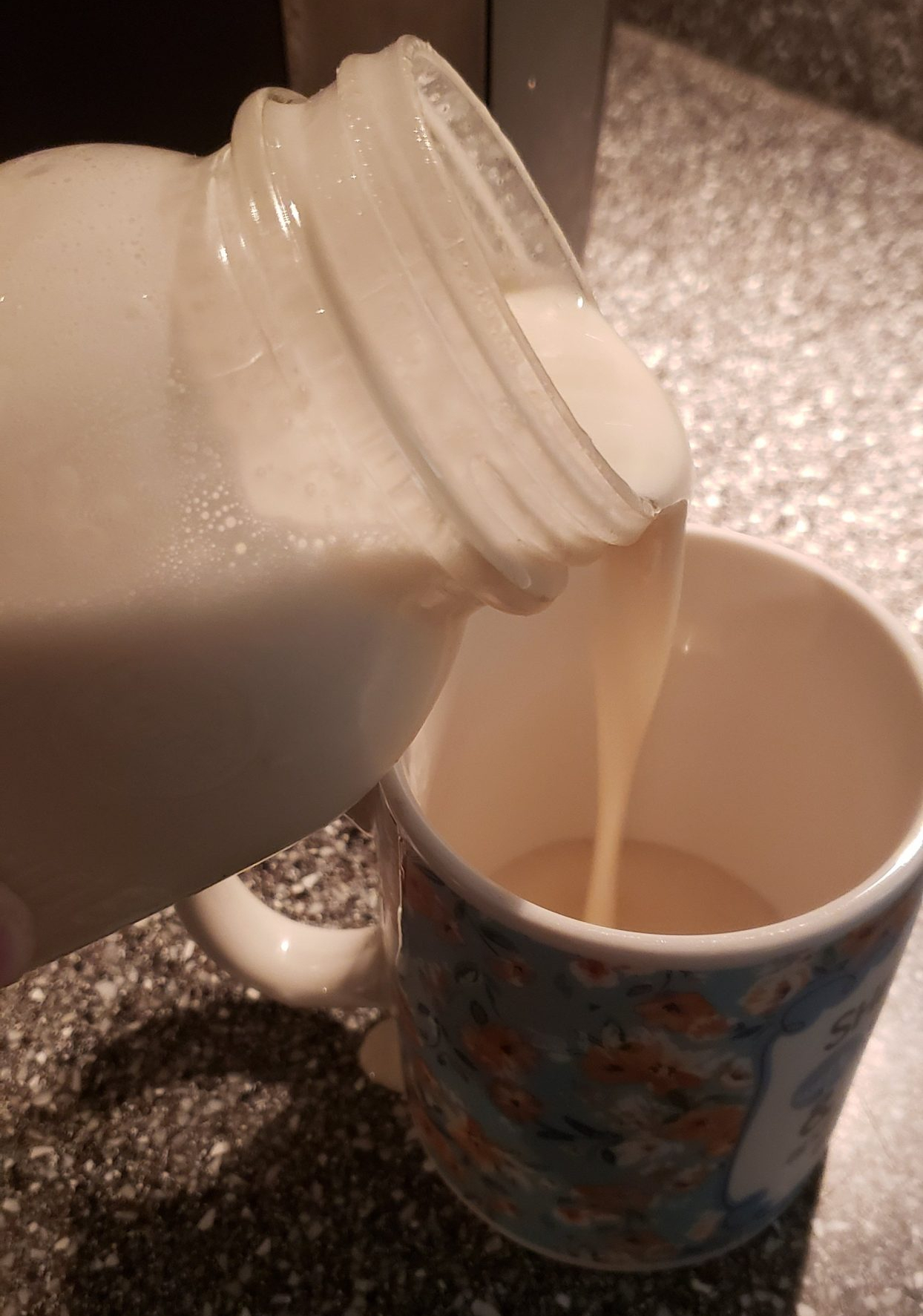 Power Creamer - Journeys of a Homemaker